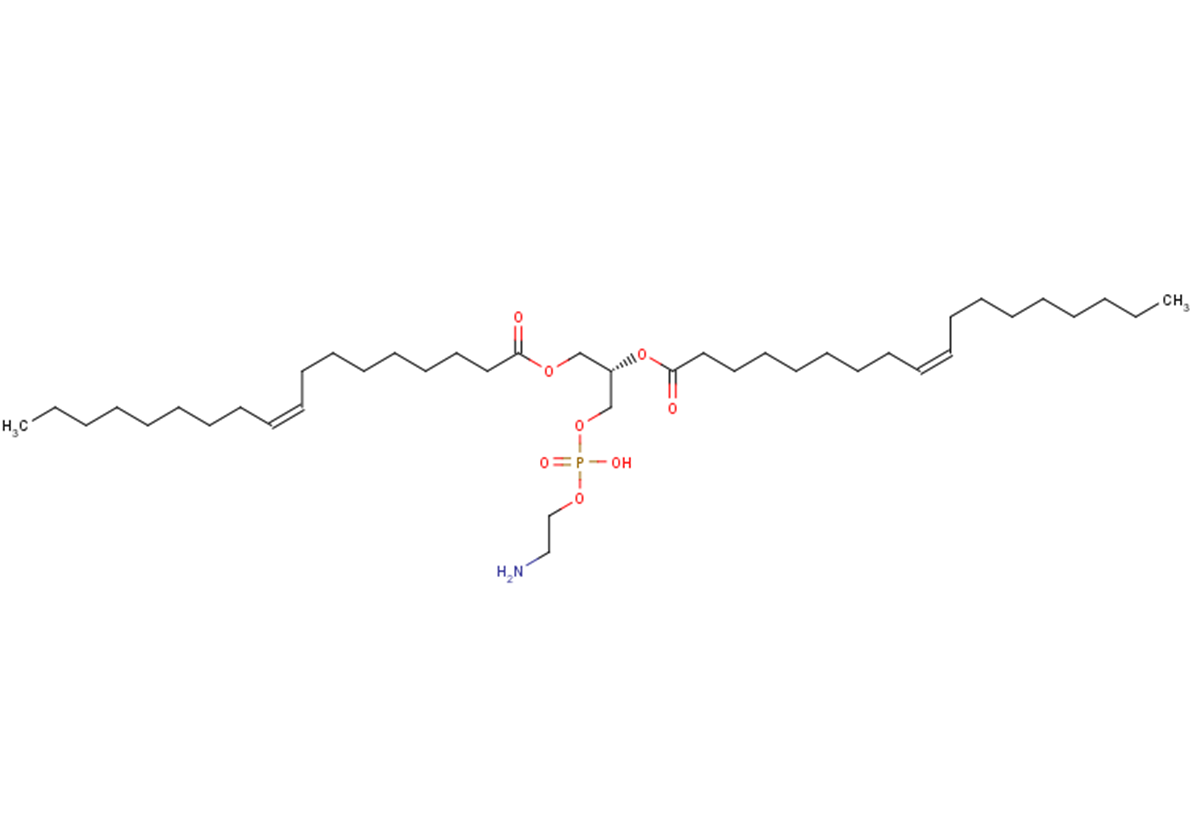 Glycerophospholipids, cephalins | | TargetMol