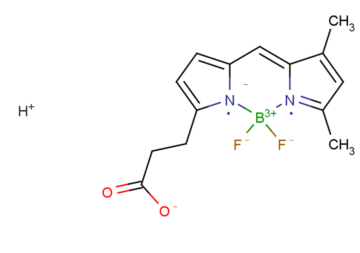 BODIPY-FL | | TargetMol