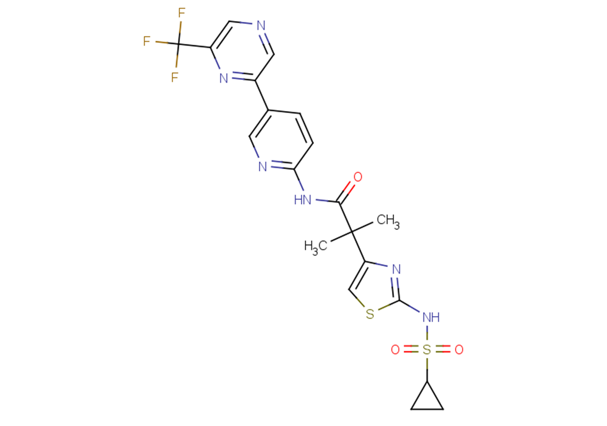 Ctp Synthetase In 1 Targetmol