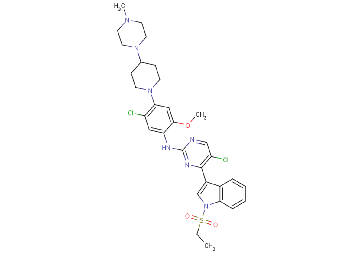 EGFR-IN-69 | | TargetMol