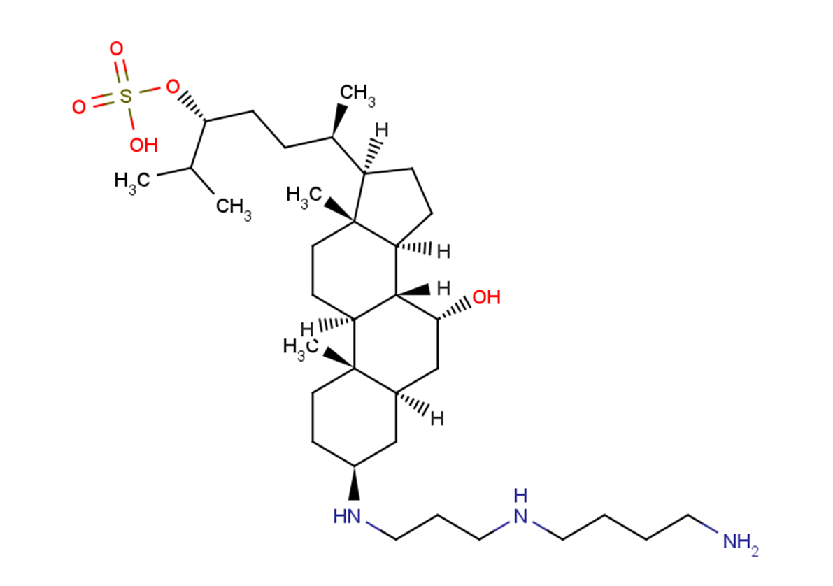 Squalamine | Inhibitor | TargetMol