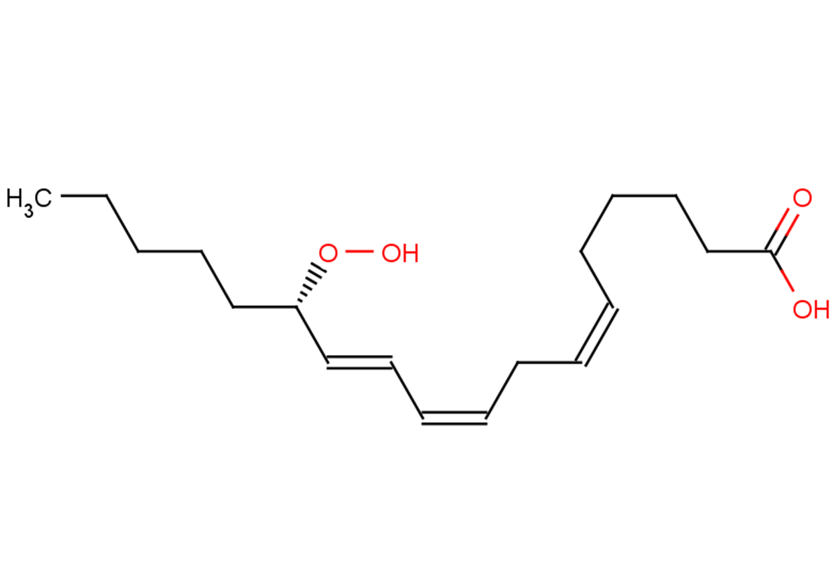 13(S)-HpOTrE(γ) | | TargetMol