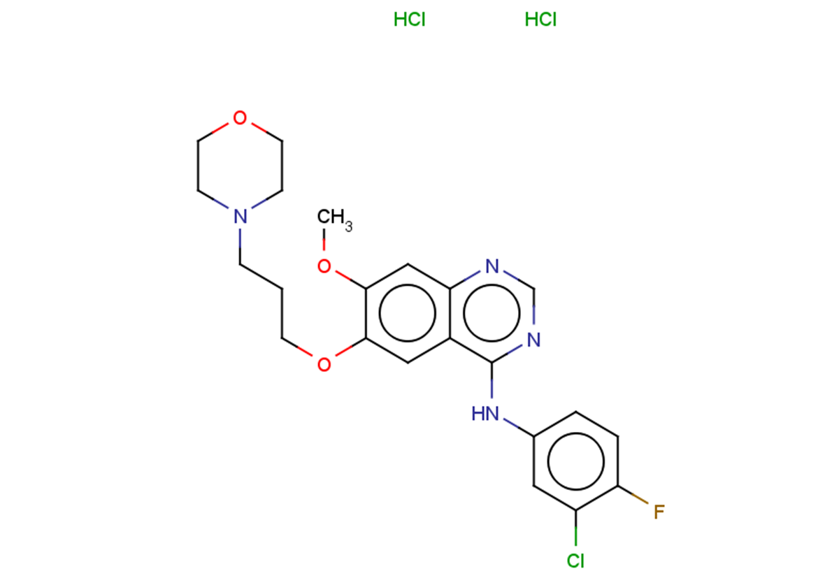Gefitinib dihydrochloride | | TargetMol