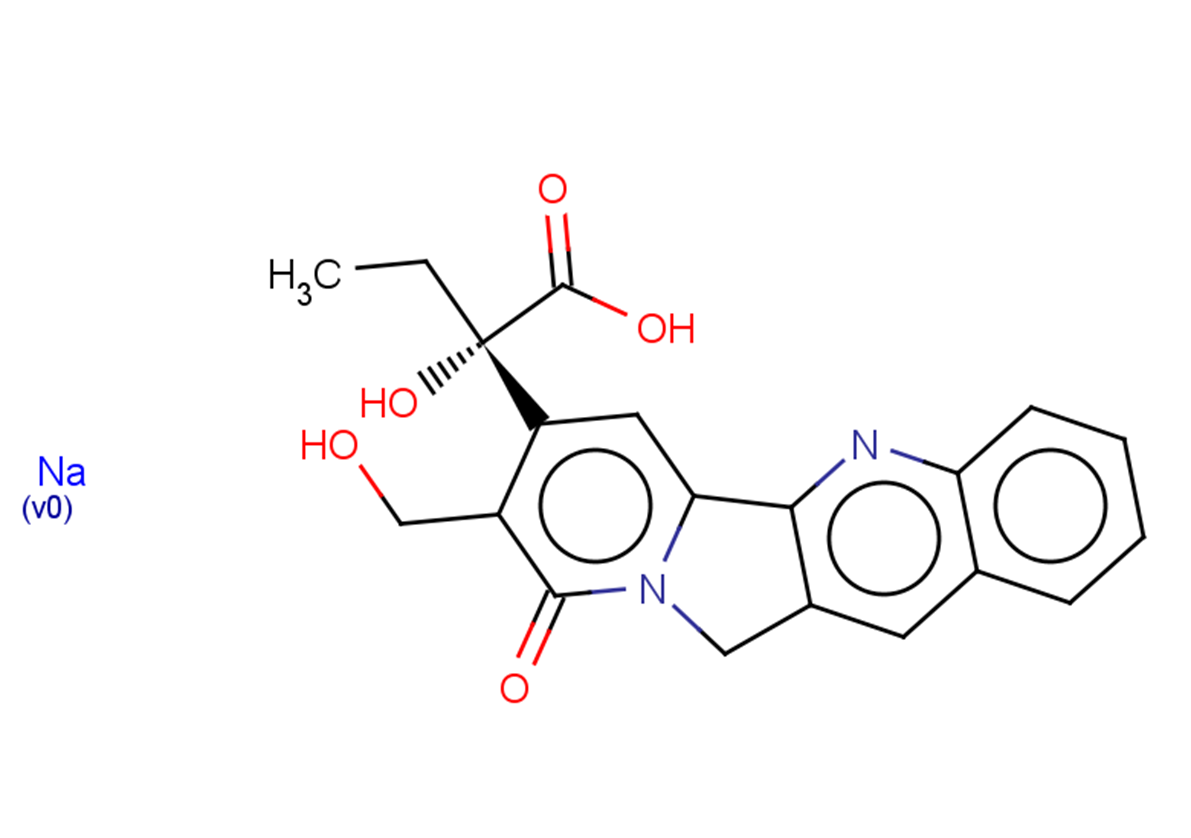 Sodium Camptothecin | DNA/RNA Synthesis | TargetMol