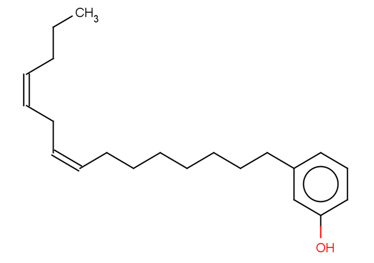 Cardanol diene | TargetMol