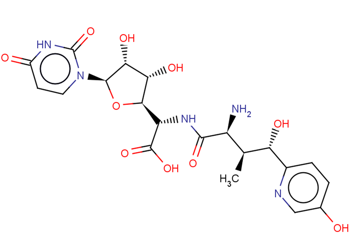 Nikkomycin Z | Antifungal | Antibiotic | Inhibitor | TargetMol
