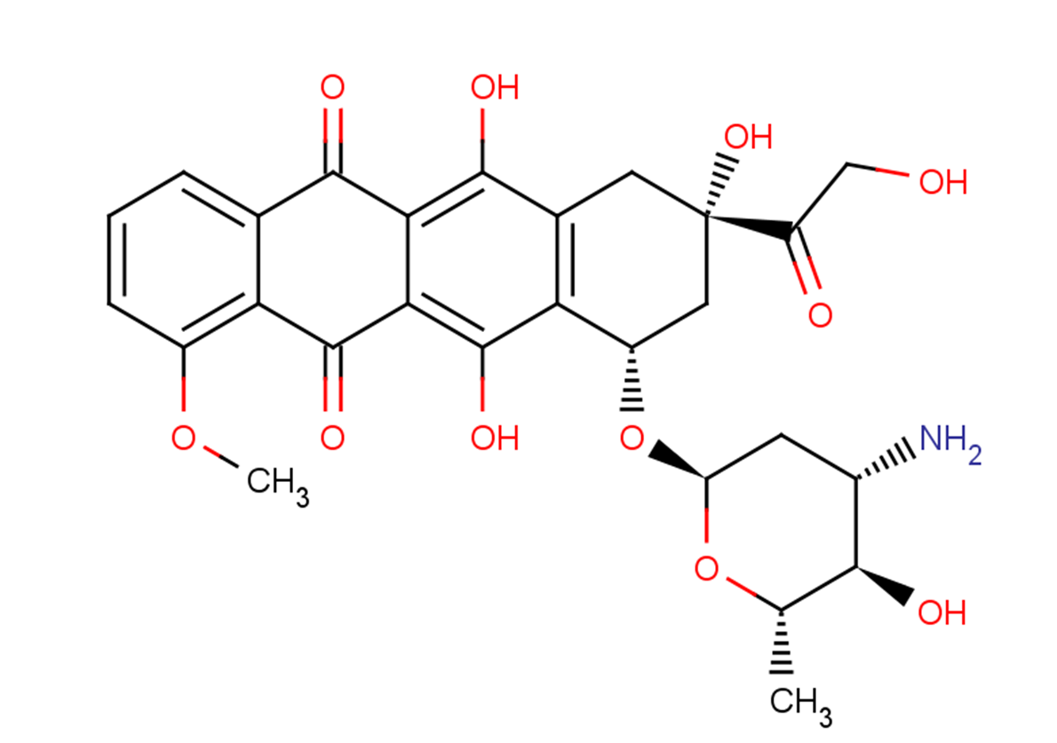 Epirubicin | | TargetMol