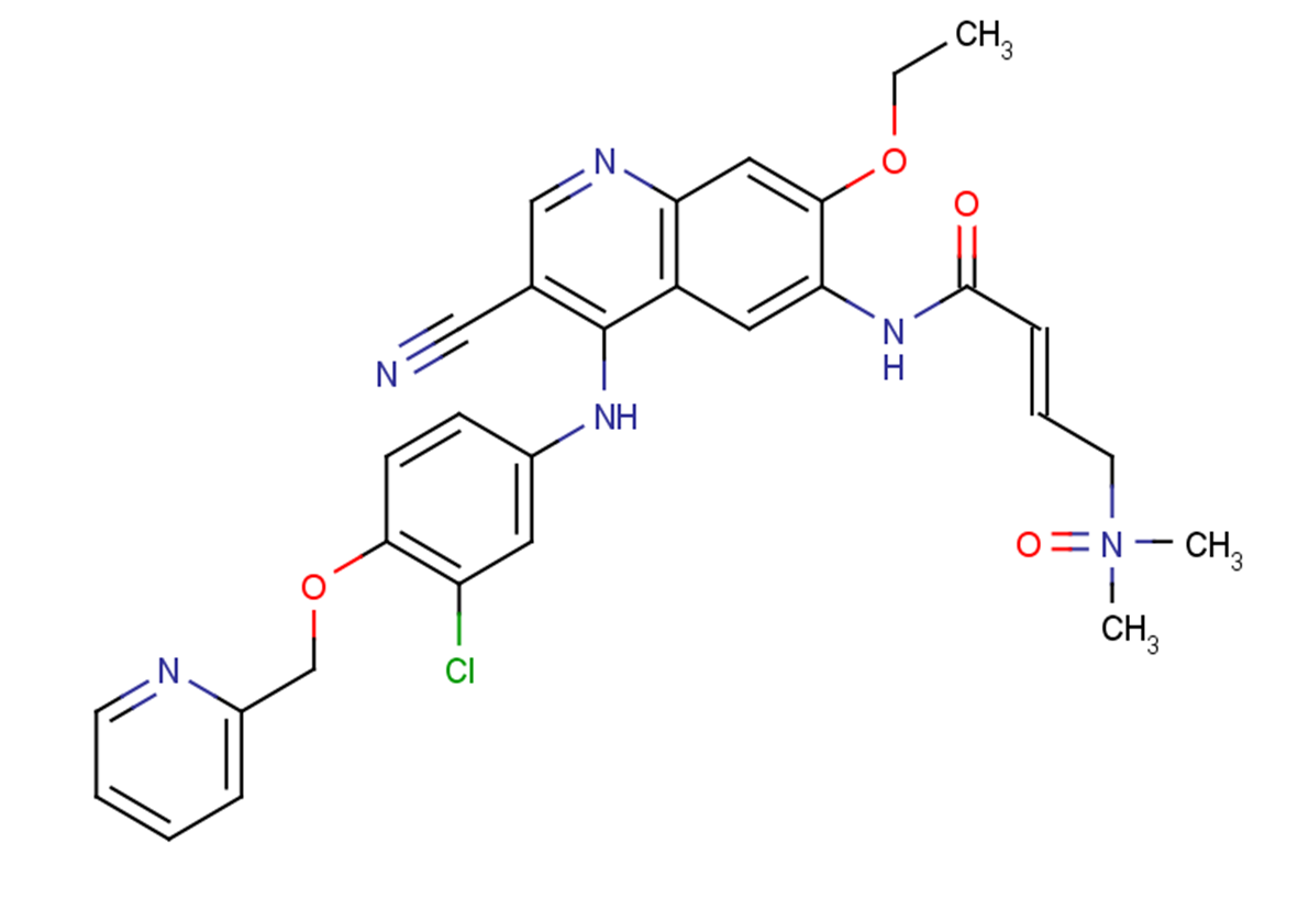 Neratinib dimethylamine N-oxide | | TargetMol