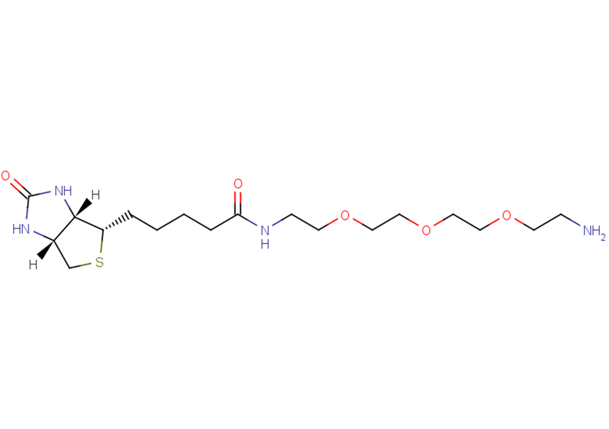 Amine-PEG3-Biotin | Inhibitor | TargetMol