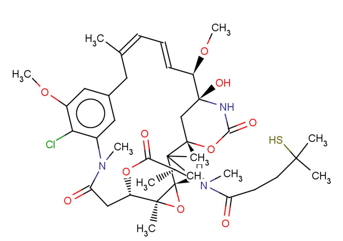 Maytansinoid DM4 | Inhibitor | TargetMol