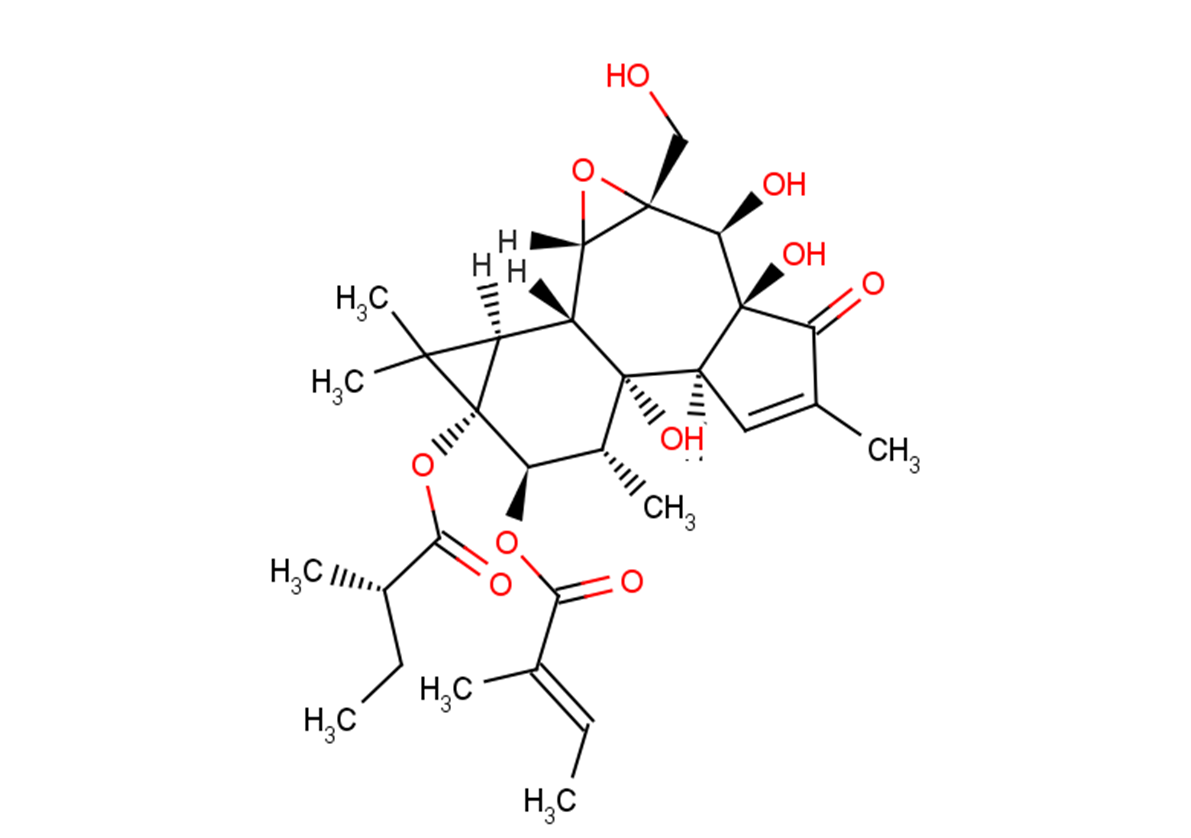 Tigilanol tiglate | | TargetMol