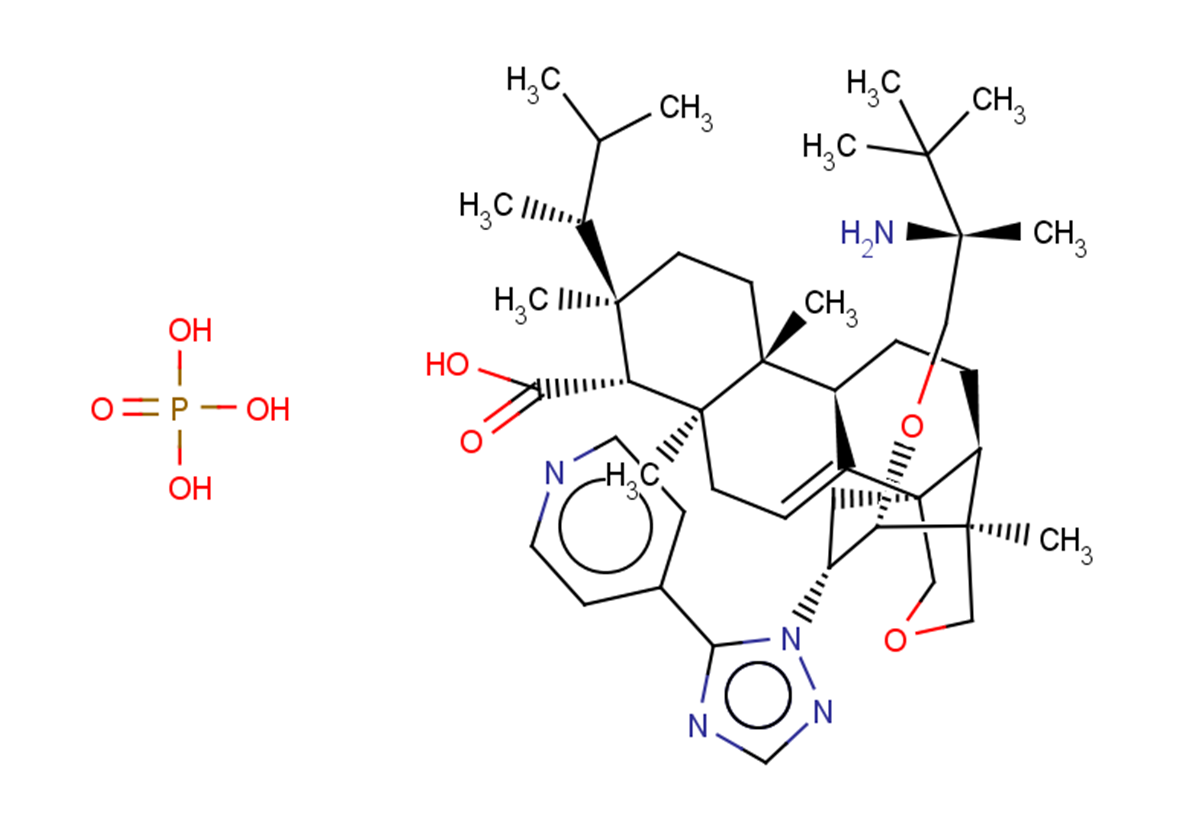 SCY-078 phosphate | | TargetMol