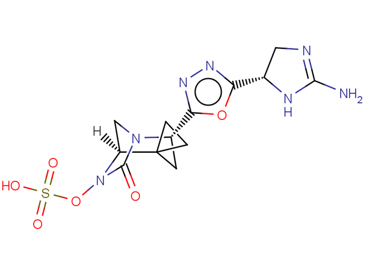 Funobactam | TargetMol