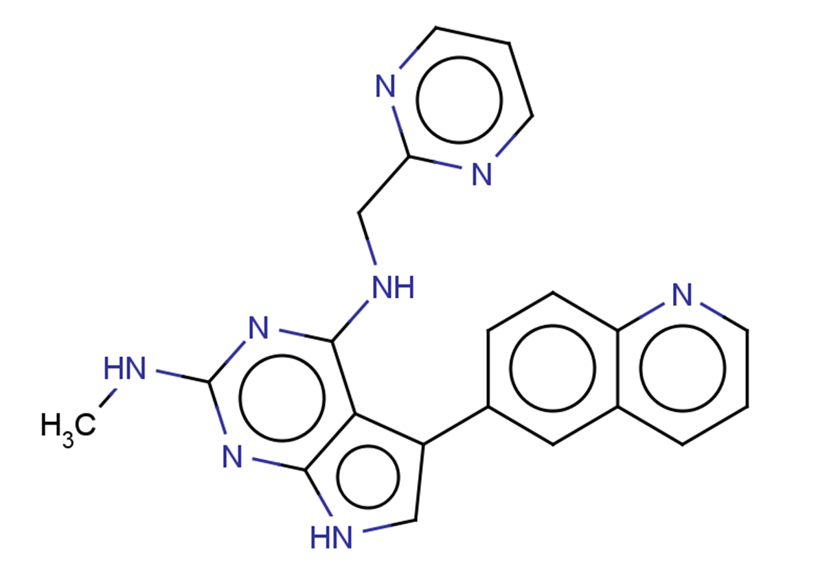 T025 | CDK | TargetMol