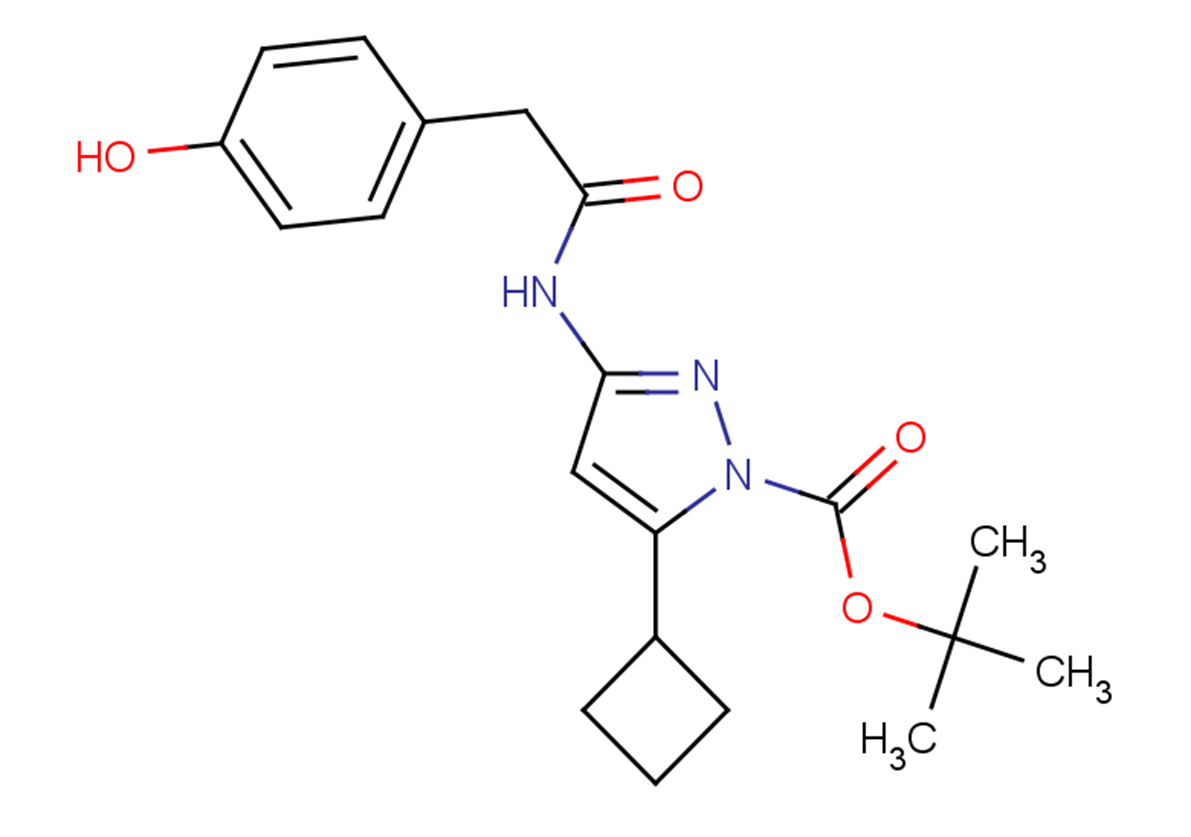 CDK9-IN-11 | TargetMol
