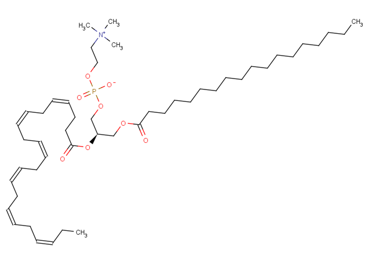 1-Stearoyl-2-docosahexaenoyl-sn-glycero-3-PC | | TargetMol
