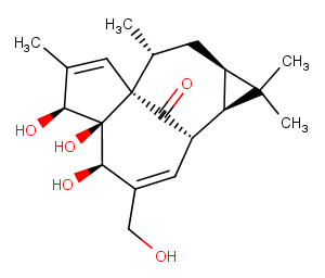 Ingenol | PKC | TargetMol