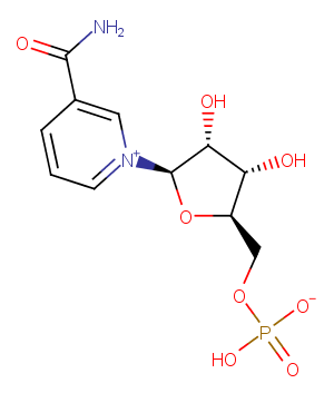 β-Nicotinamide mononucleotide | Inhibitor | Endogenous Metabolite | TargetMol