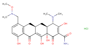Sarecycline hydrochloride | TargetMol