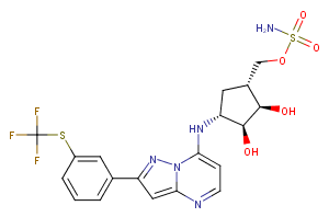TAK-243 | Apoptosis | E1/E2/E3 Enzyme | NF-κB | TargetMol