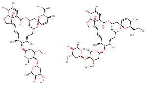 Avermectin B1 | Autophagy | Parasite | Antibiotic | TargetMol