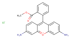 Rhodamine 123 | Inhibitor | TargetMol