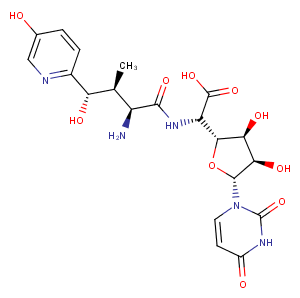 Nikkomycin Z | Antifungal | Antibiotic | Inhibitor | TargetMol