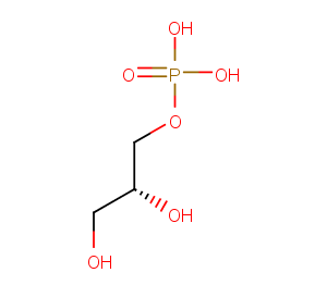 sn-Glycerol 3-phosphate | Endogenous Metabolite | TargetMol