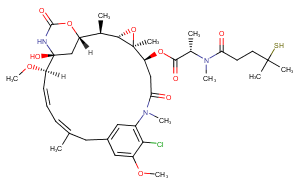 DM4 | Inhibitor | Microtubule Associated | TargetMol