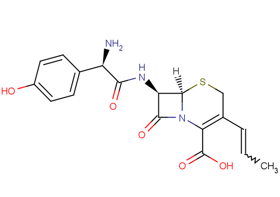 Cefprozil | Antibiotic | Antibacterial | TargetMol