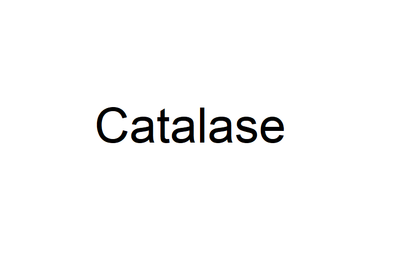 Catalase | Inhibitor | TargetMol