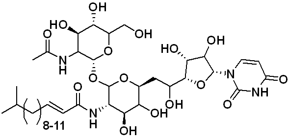 Tunicamycin | Influenza Virus | Antifungal | Antibiotic | Antibacterial ...
