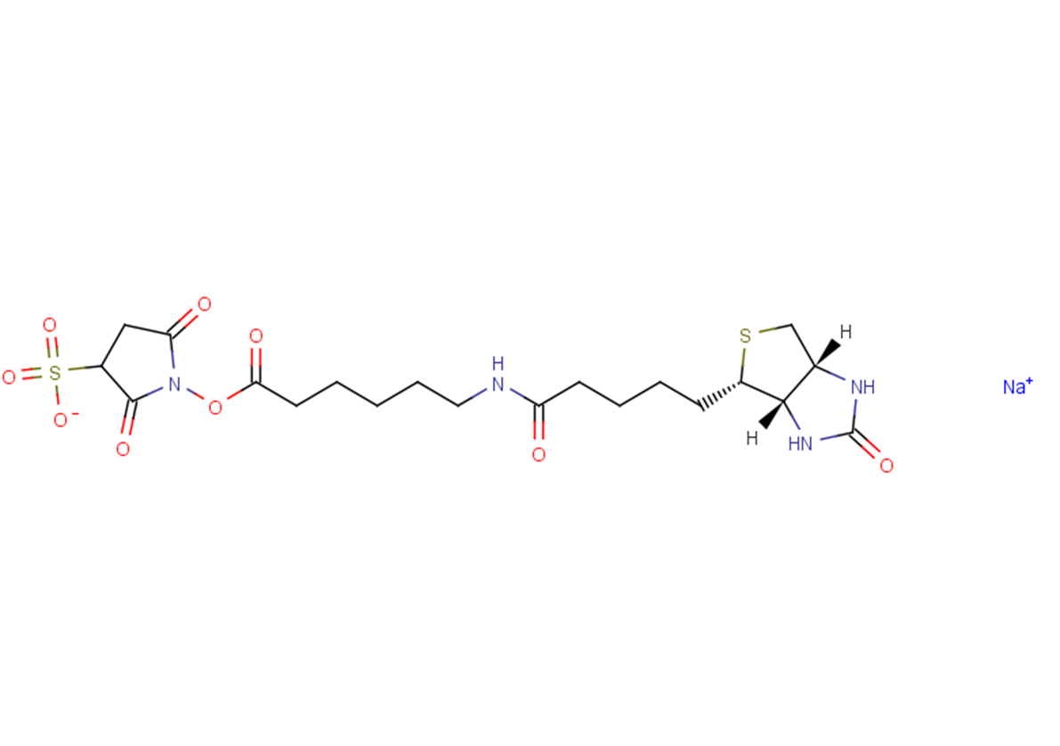 Sulfo-NHS-LC-Biotin sodium | Inhibitor | TargetMol