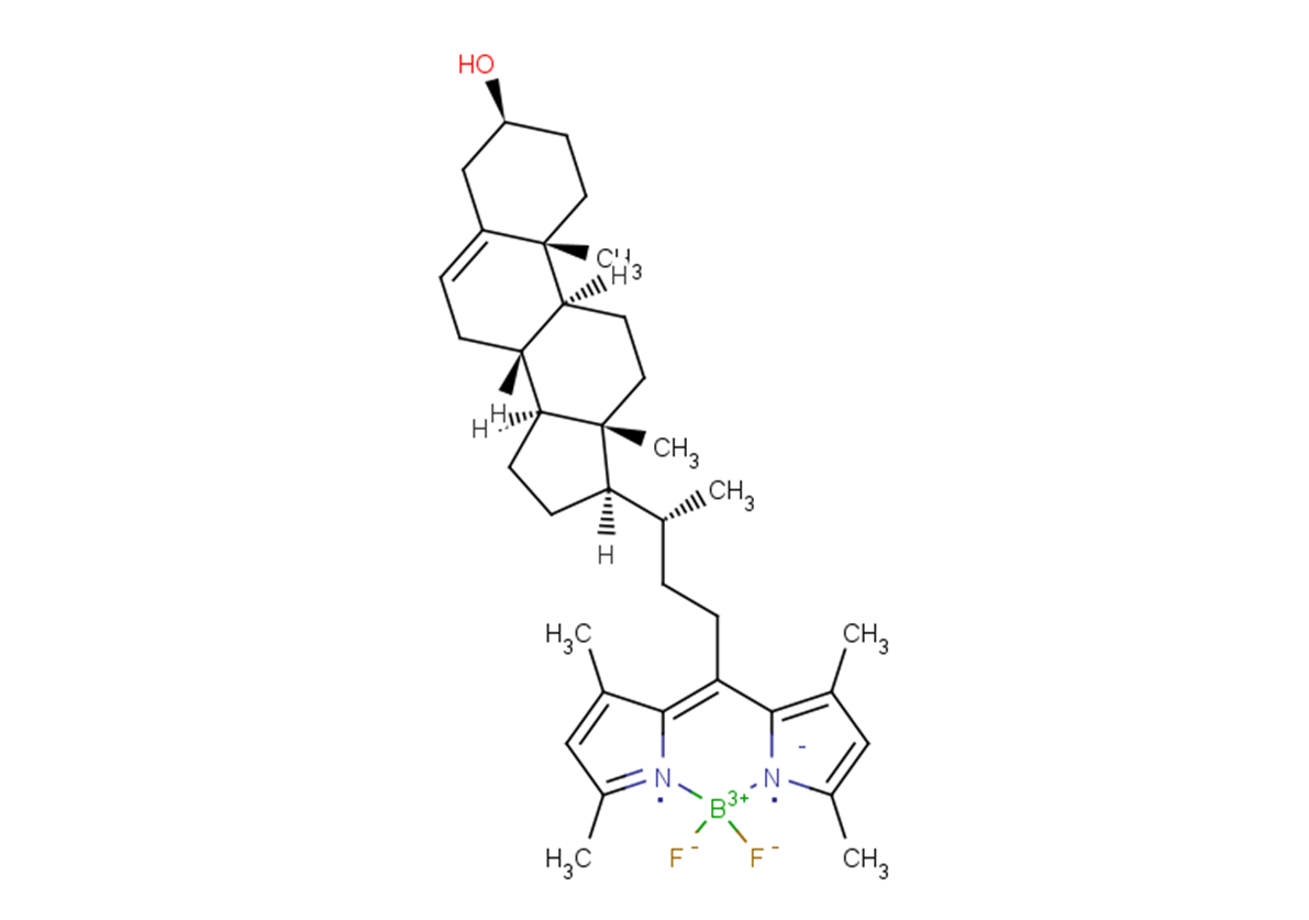 BODIPY-Cholesterol | | TargetMol