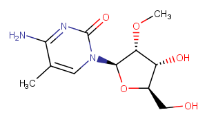2’-O-Methyl-5-methylcytidine | | TargetMol