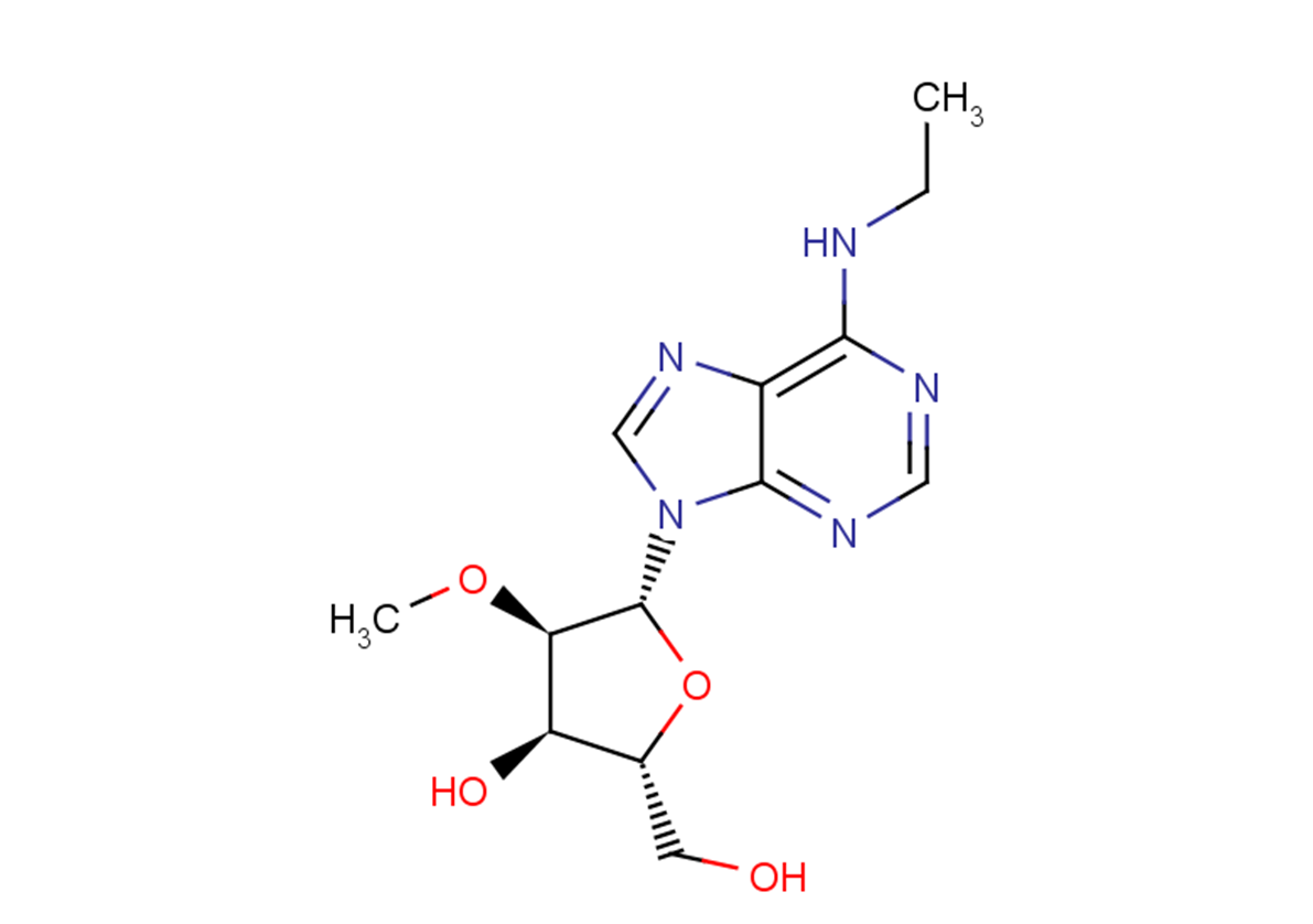 N6-Ethyl-2’-O-methyladenosine | TargetMol