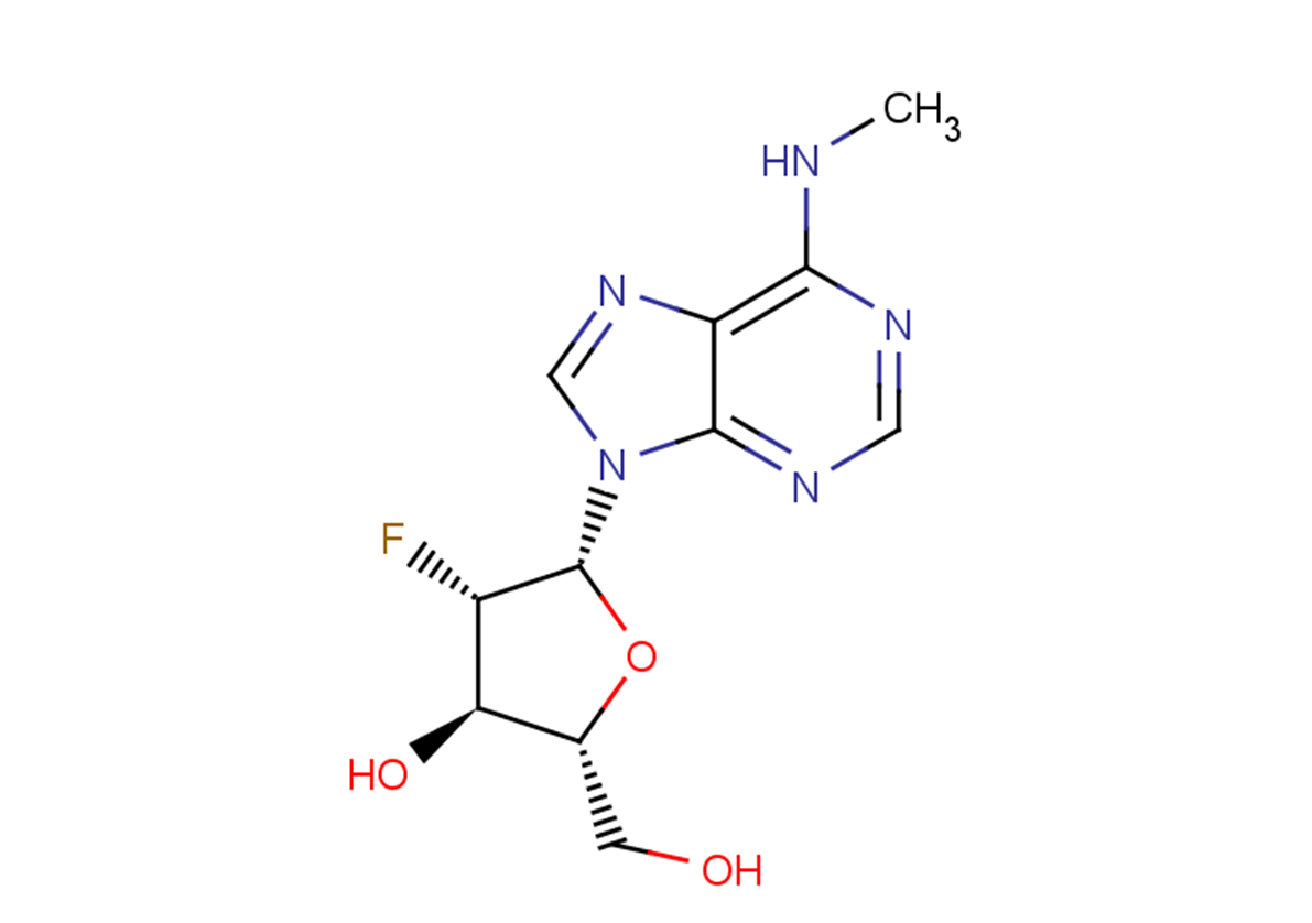 2’-Fluoro-2’-deoxy-N6-methylarabinoadenosine | | TargetMol