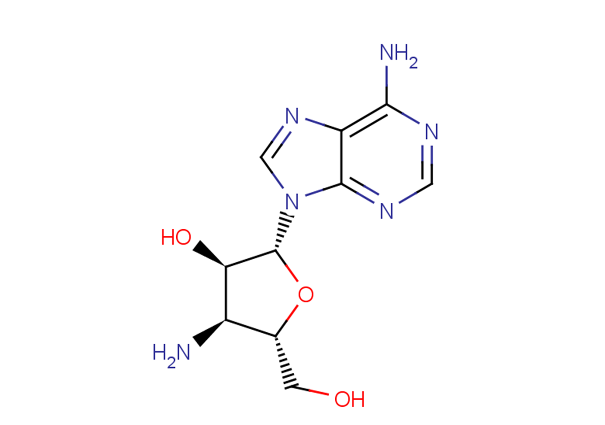 3’-Amino-3’-deoxyadenosine | | TargetMol