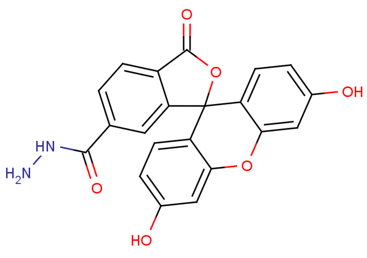 FAM hydrazide, 6-isomer | TargetMol