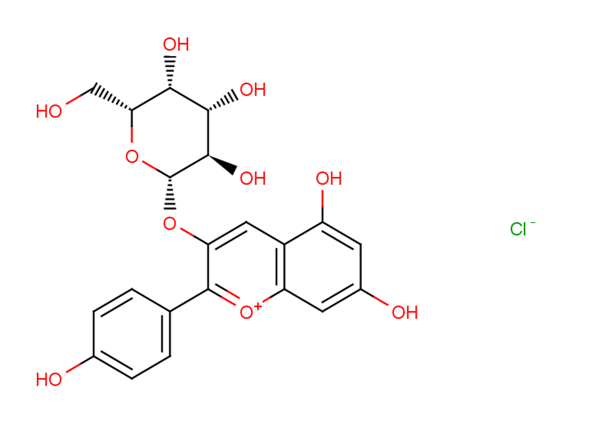 Pelargonidin 3-galactoside chloride | TargetMol