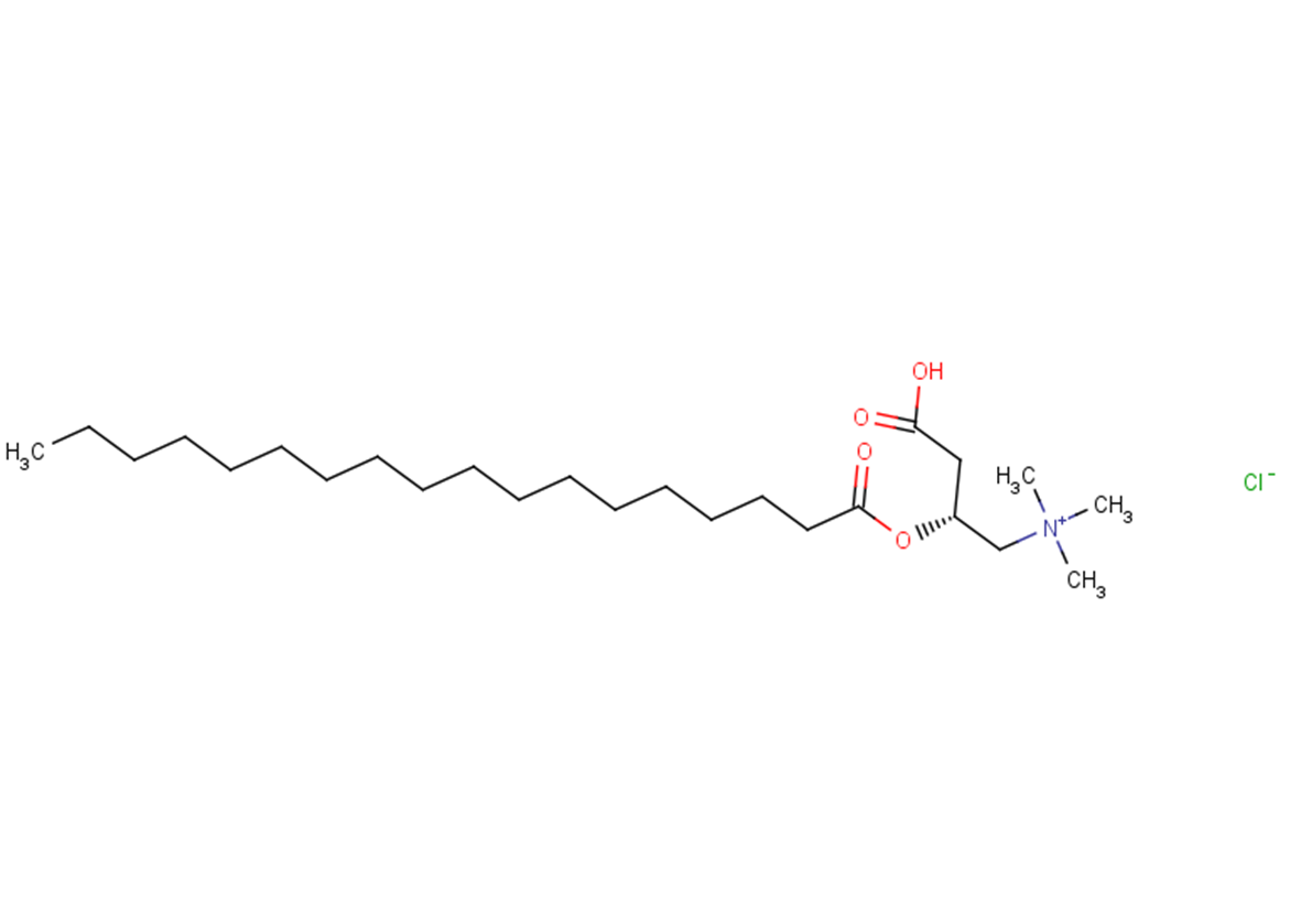 Stearoyl-L-carnitine chloride | TargetMol