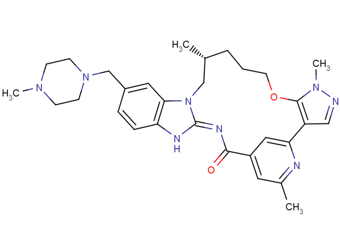 BI-4020 | EGFR | TargetMol