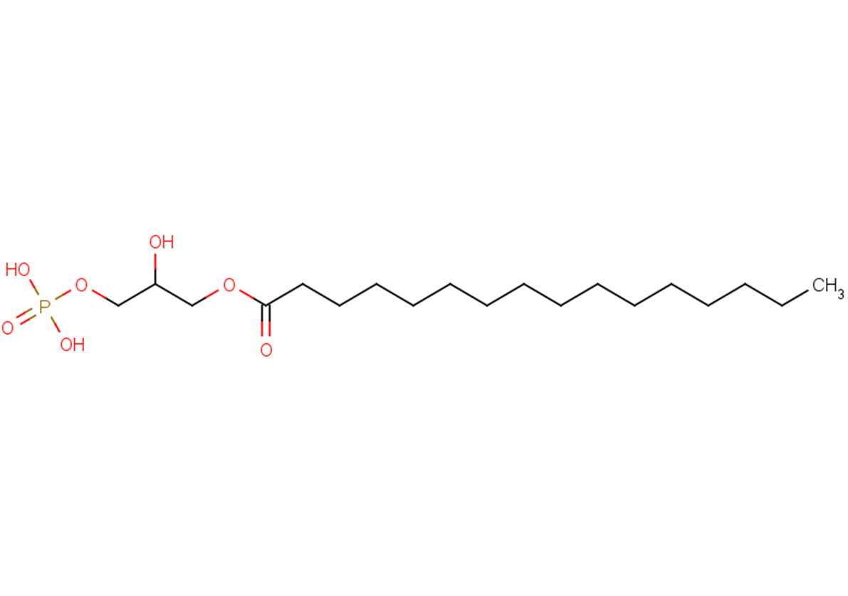 1-Palmitoyl Lysophosphatidic Acid | Antibacterial | TargetMol