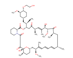 Everolimus | Inhibitor | Apoptosis | mTOR | Autophagy | TargetMol