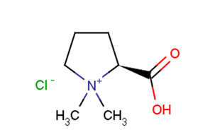 Stachydrine Hydrochloride | NF-κB | TargetMol