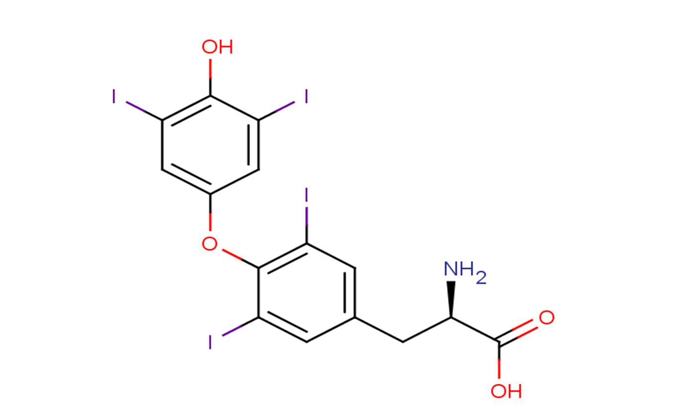 D-Thyroxine | Inhibitor | TargetMol