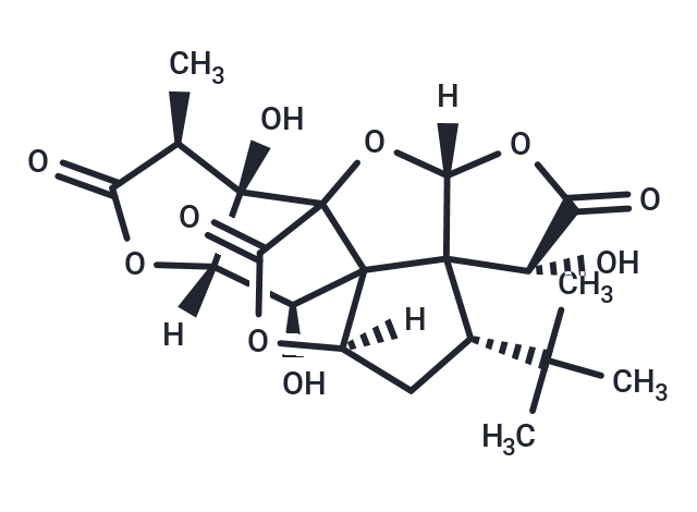 Ginkgolide B | Endogenous Metabolite | PAFR | Apoptosis | TargetMol