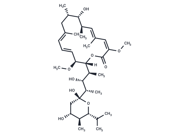 Bafilomycin A1 | V-ATPase inhibitor | TargetMol