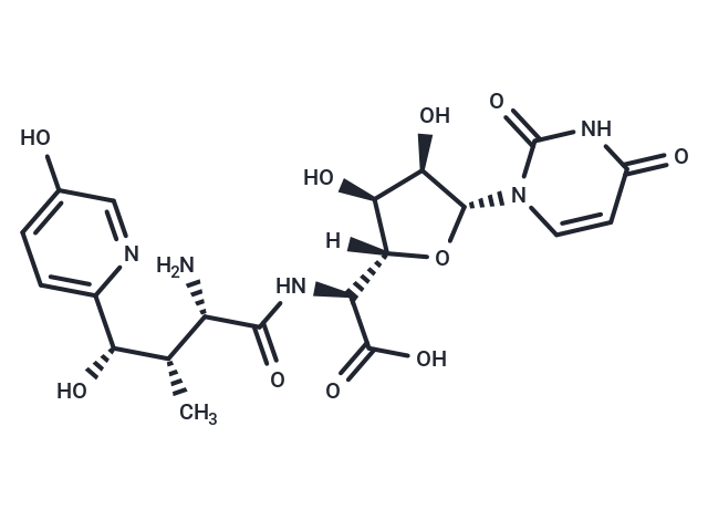 Nikkomycin Z | Antifungal | Antibiotic | TargetMol