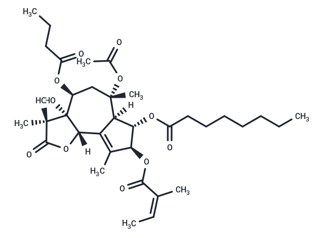Thapsigargin | SERCA inhibitor | TargetMol